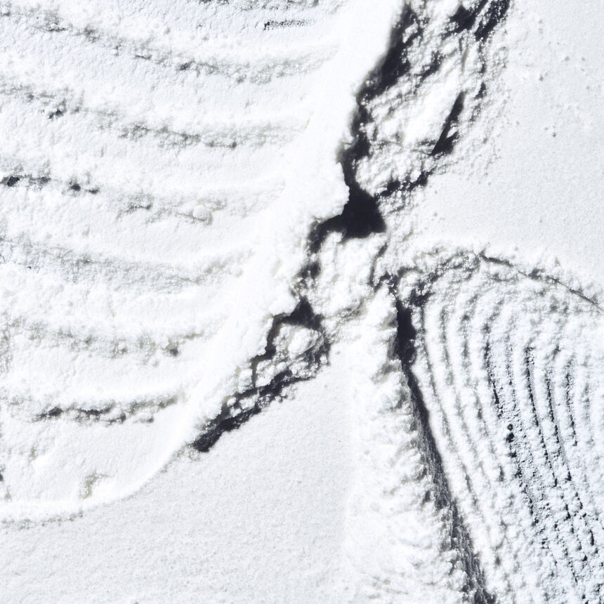 Broadleaf Forest Hand + Body Powder Wash | LOoPHA